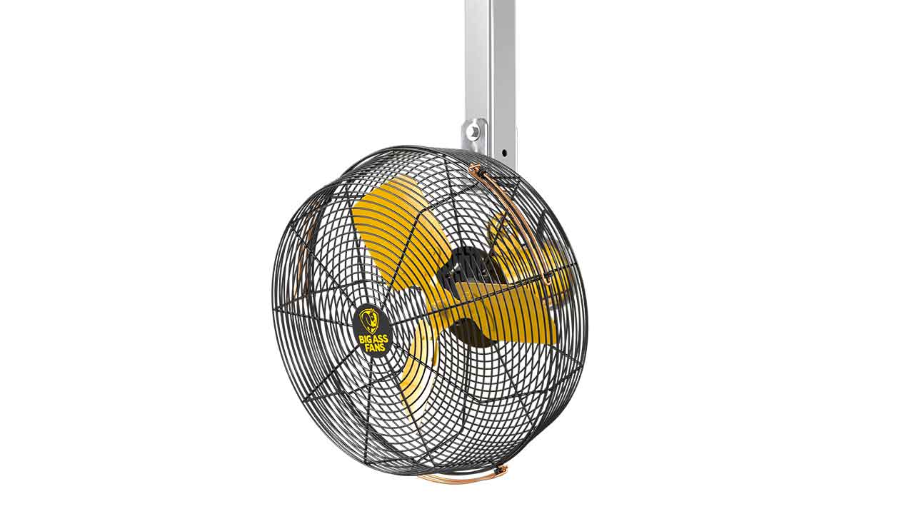 AIREYE® – Betabaf